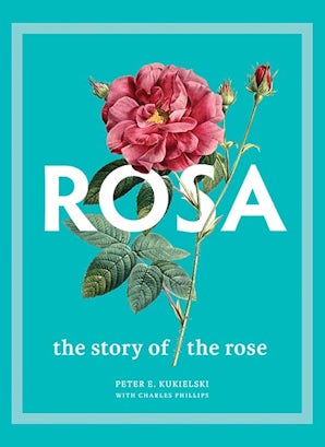 Rosa