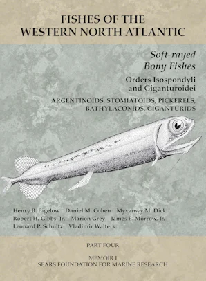 Soft-rayed Bony Fishes: Orders Isospondyli and Giganturoidei